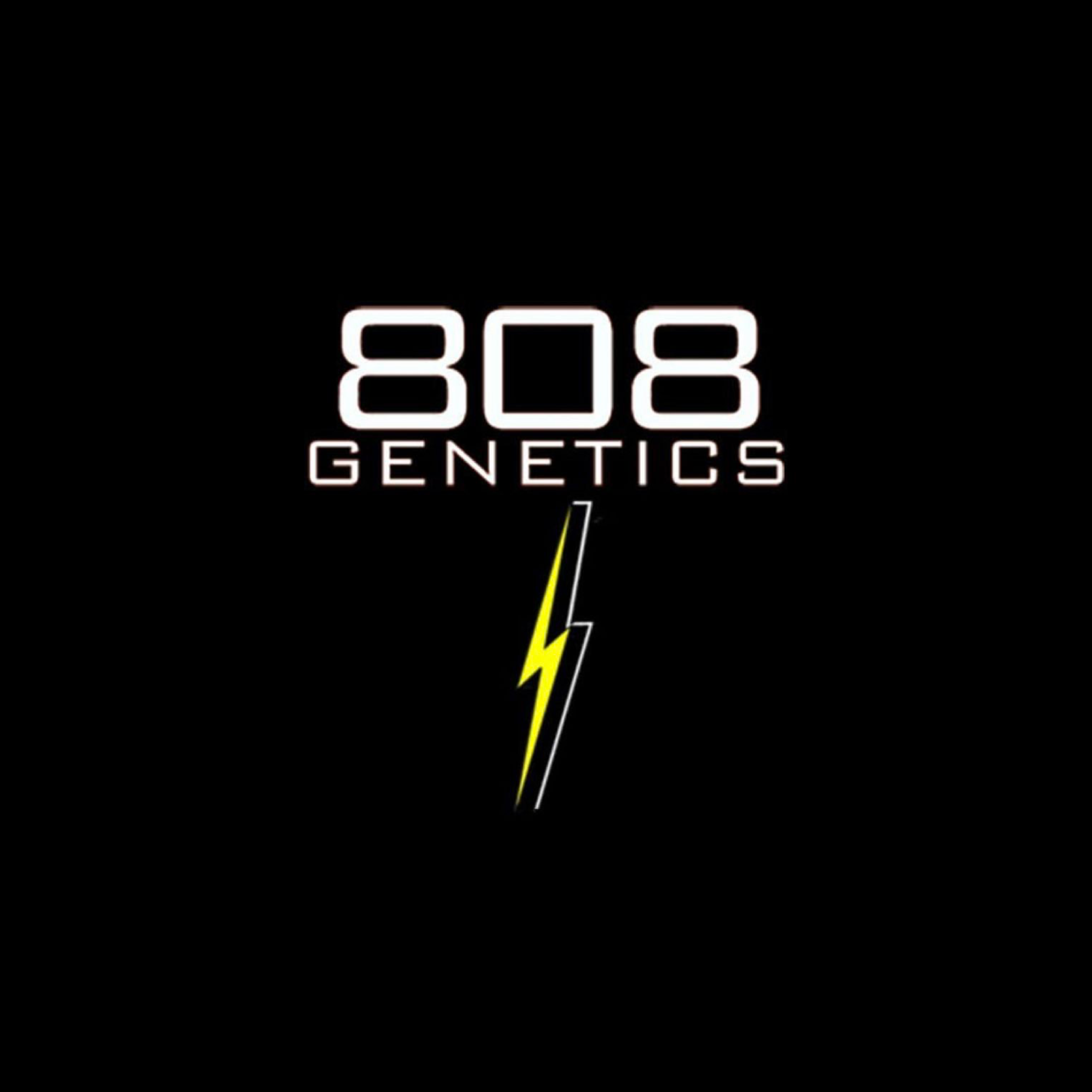 808 GENETICS – SEED BANK INTERNATIONAL