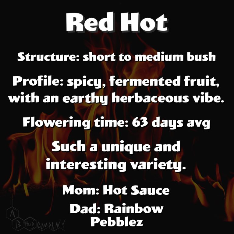 SEED BANK INTERNATIONAL – Heirloom Genetics & Breeders