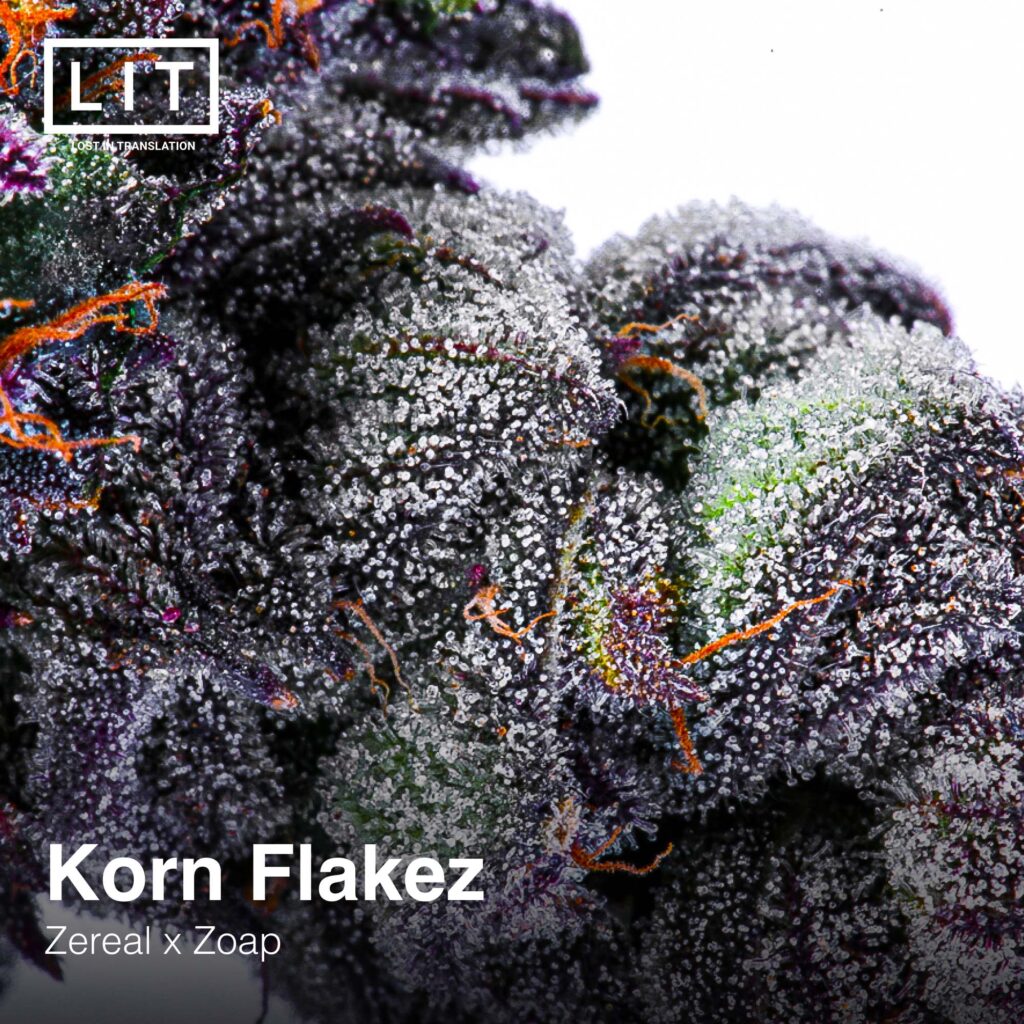 KORN FLAKEZ – SEED BANK INTERNATIONAL