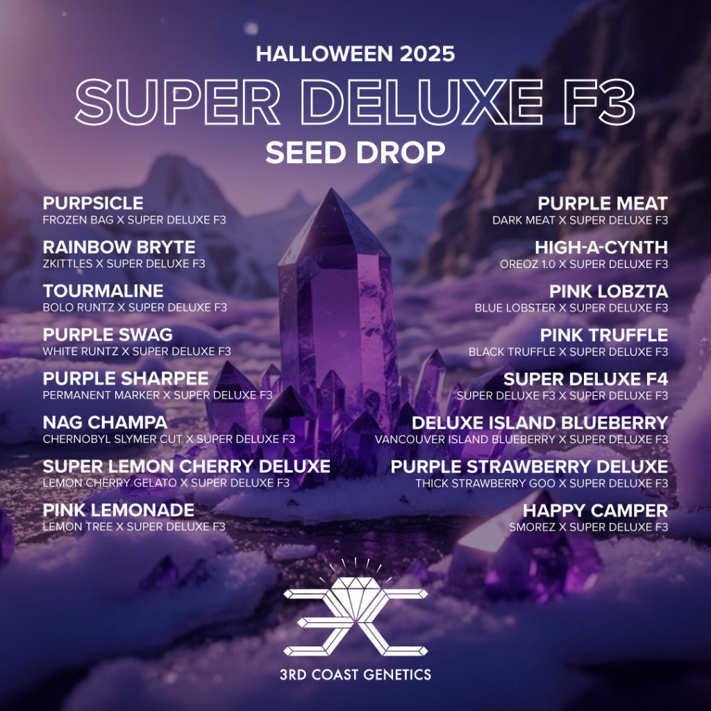 HAPPY CAMPER – SEED BANK INTERNATIONAL